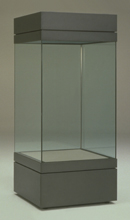 Display Case