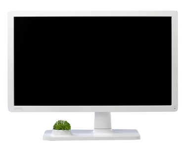 LCD Monitor