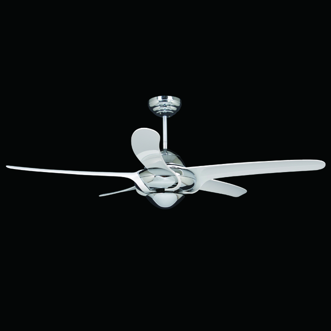 Ceiling fan