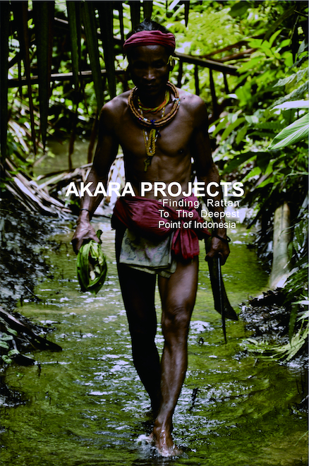 Indonesian Rattan Campaign