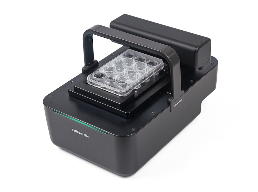 Automatic Live Cell Imaging System