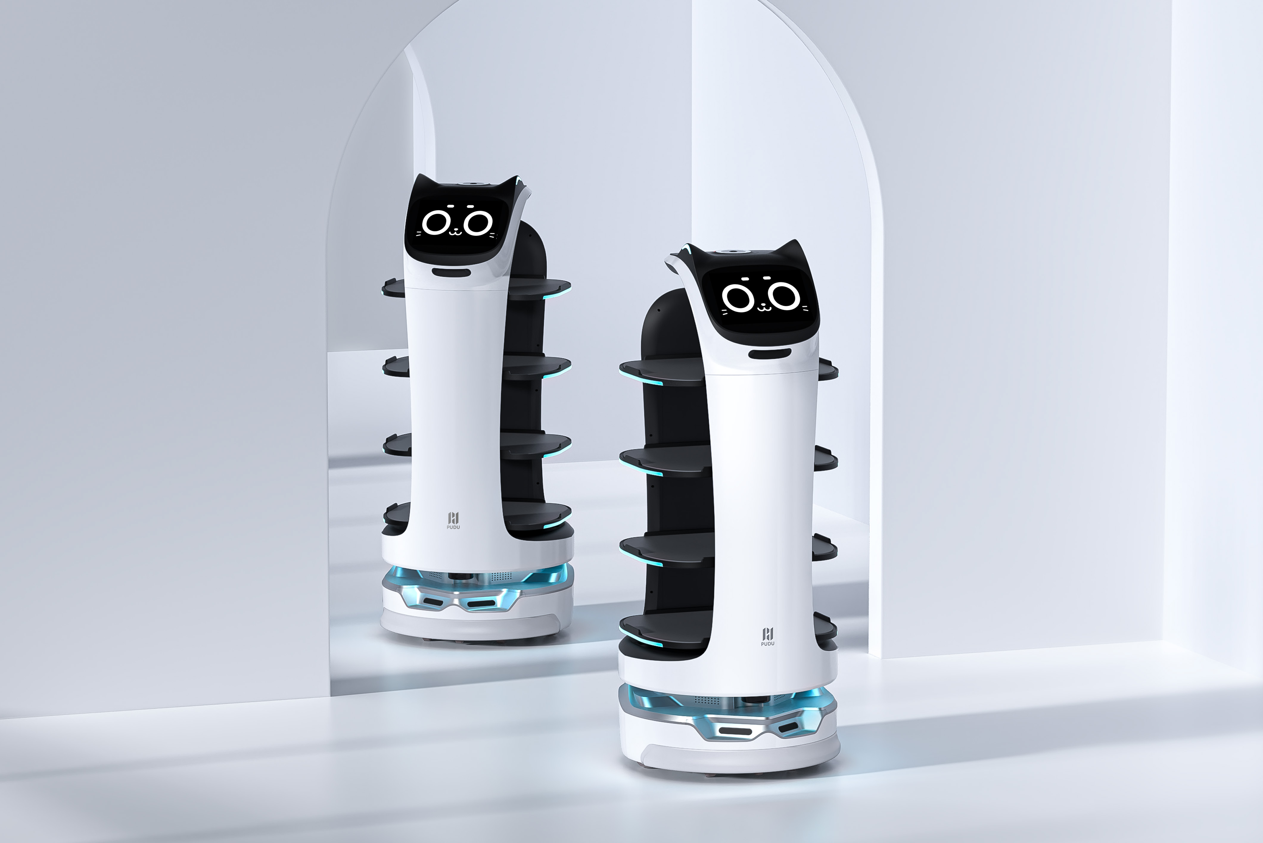 Professional service robot